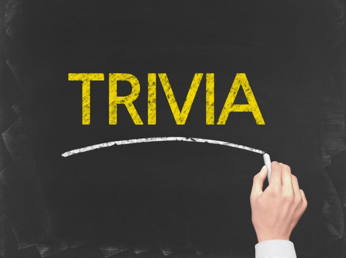 90+ Funny Trivia Team Names (Unique and Clever)