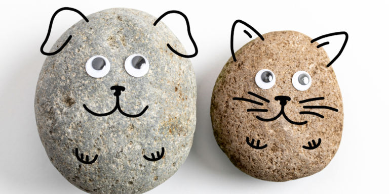 150 Funny Pet Rock Names That Are Cool & Unique