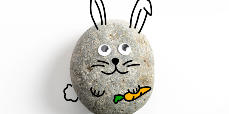 150 Funny Pet Rock Names That Are Cool & Unique