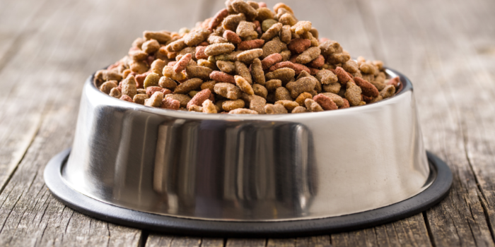 90 Funny Food Names for Your Pets
